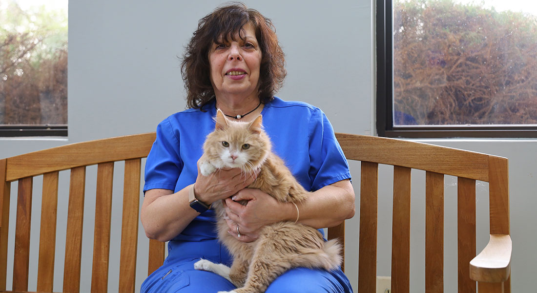 Careers - Vet in Marlboro | Companion Care Animal Clinic